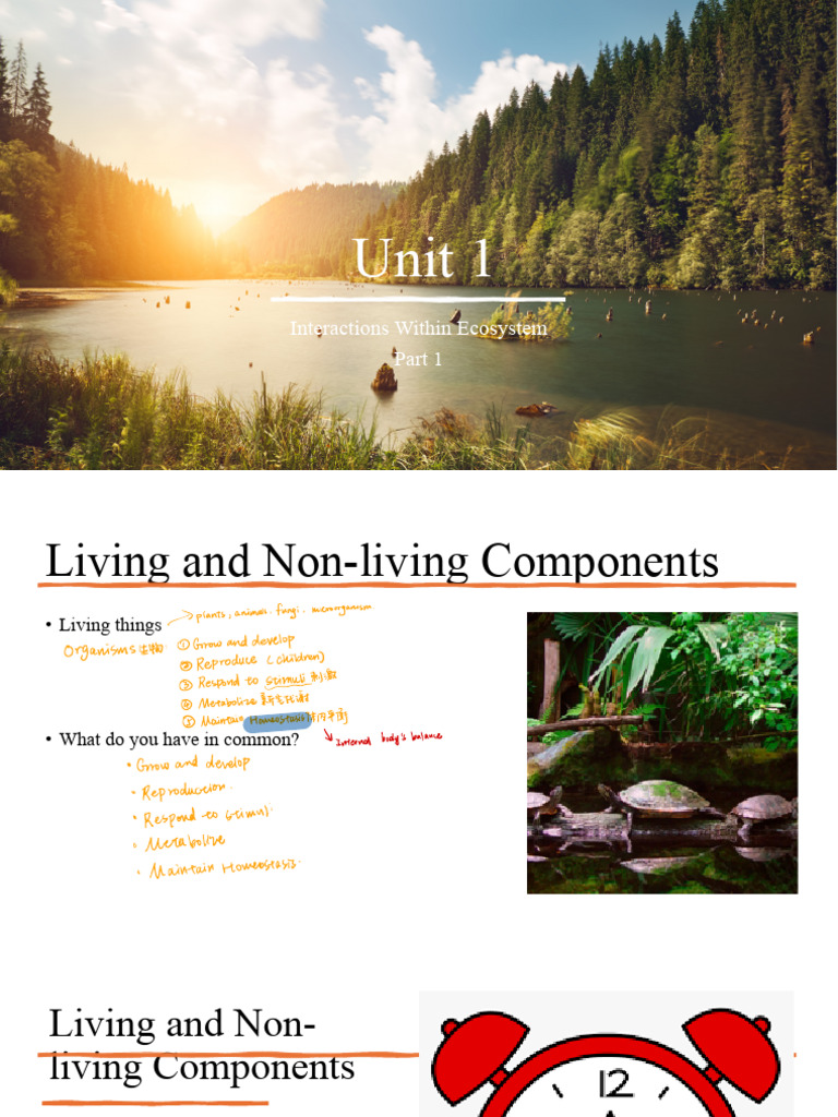 Unit 1 - Ecosystem | PDF