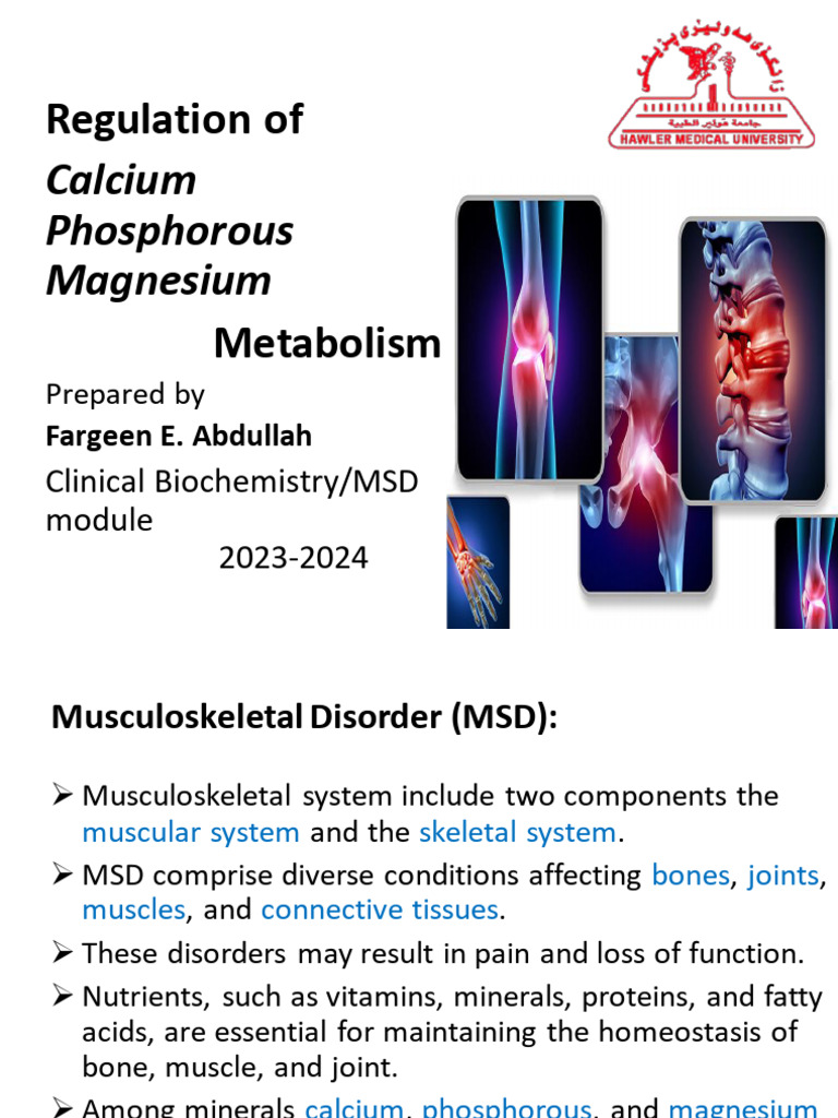 Regulation of Calcium Metabolism | PDF