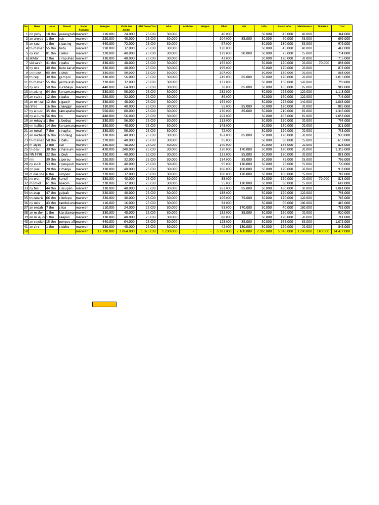 Lap Ranap BPJS 24 | PDF