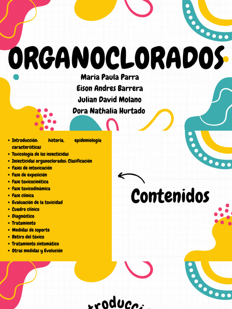 Presentacion Proyecto Trabajo Creativo Organico Multicolor PDF | PDF