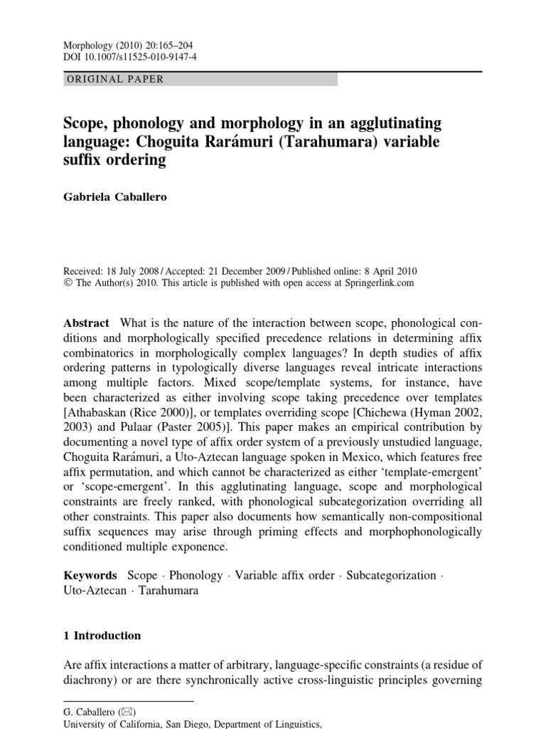 Scope, Phonology and Morphology in An Agglutinating Language: Choguita ...