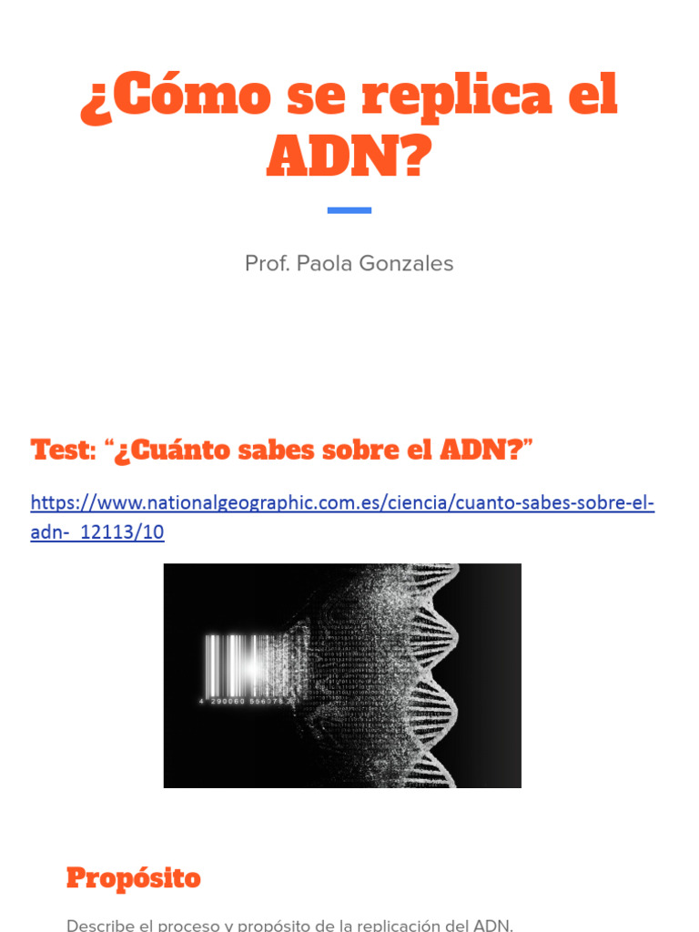 ¿Cómo Se Replica El ADN | PDF