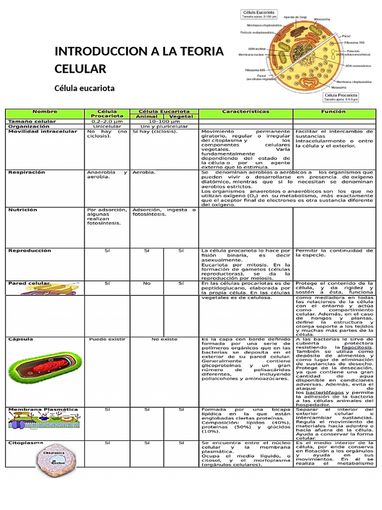 U2. Introduccion A La Teoria Celular | PDF