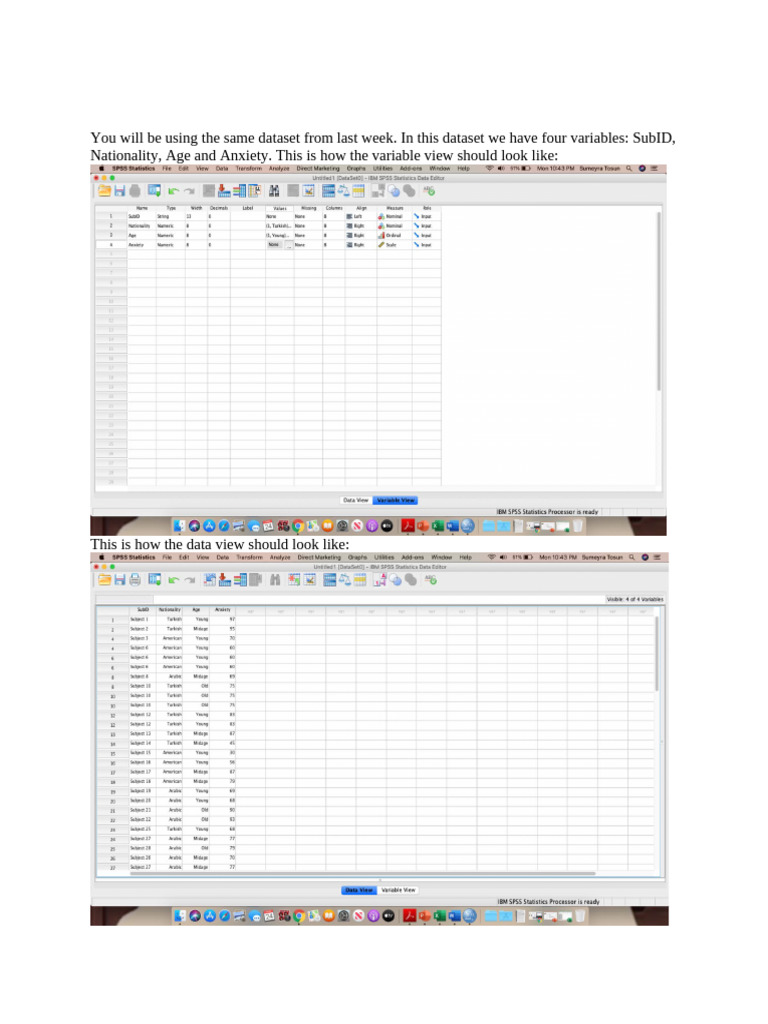 Lab Manual-Descriptive statistics | PDF