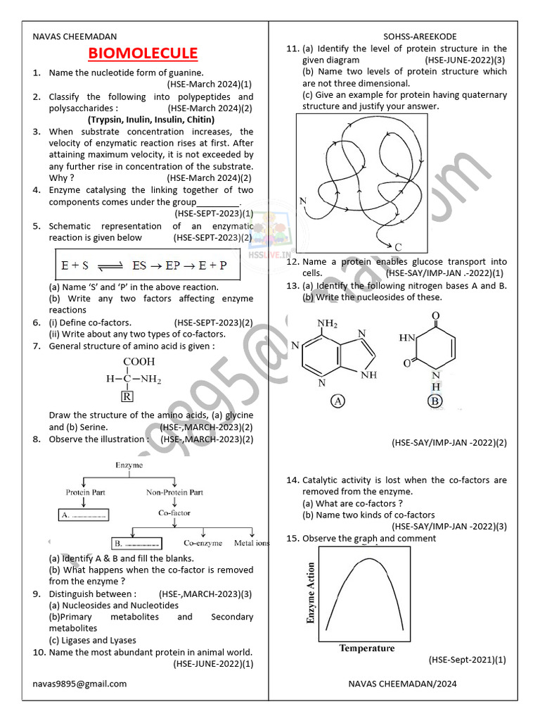 Hsslive-xi-zool-pyq-04-Biomolecule 2024 | PDF