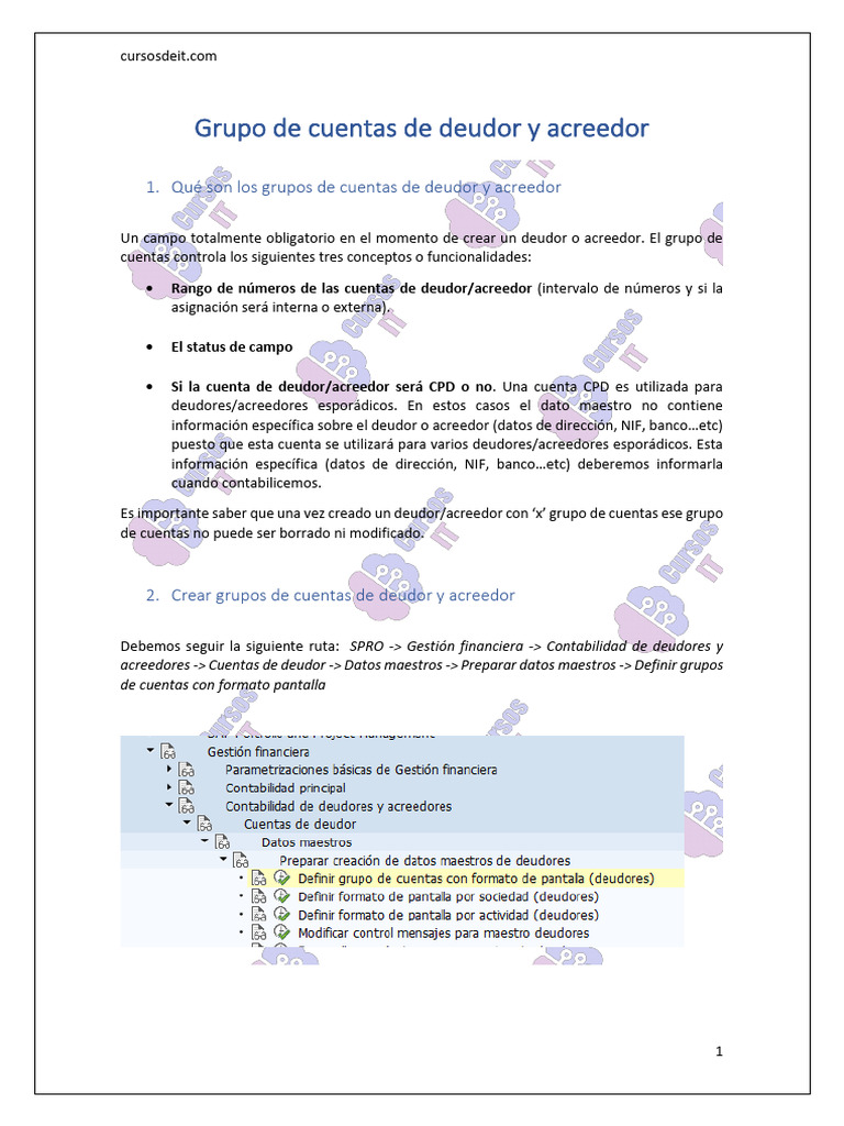 #15+-+Grupo+de+cuentas+de+deudor+y+acreedor | PDF