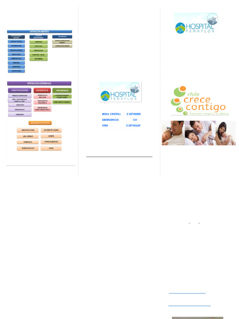 Programa CHCC Hpe 2020 | PDF