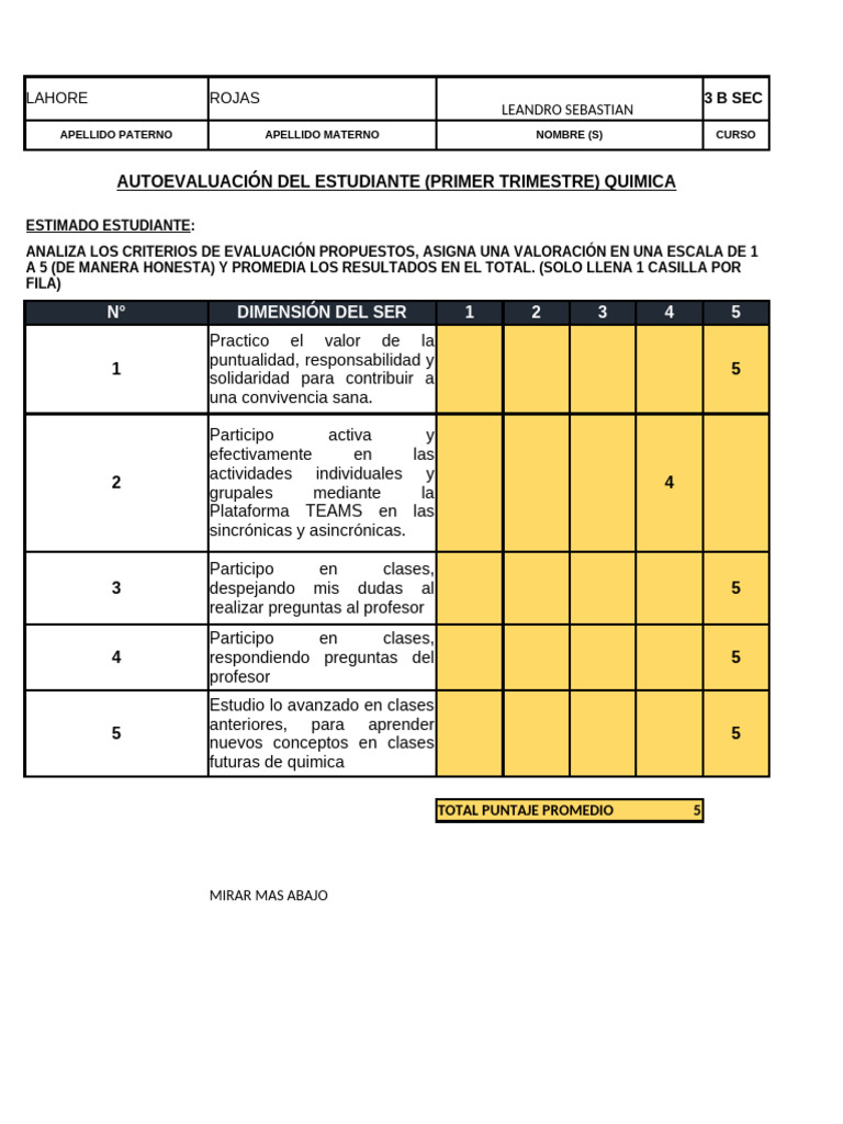 Autoevaluacion Quimica | PDF