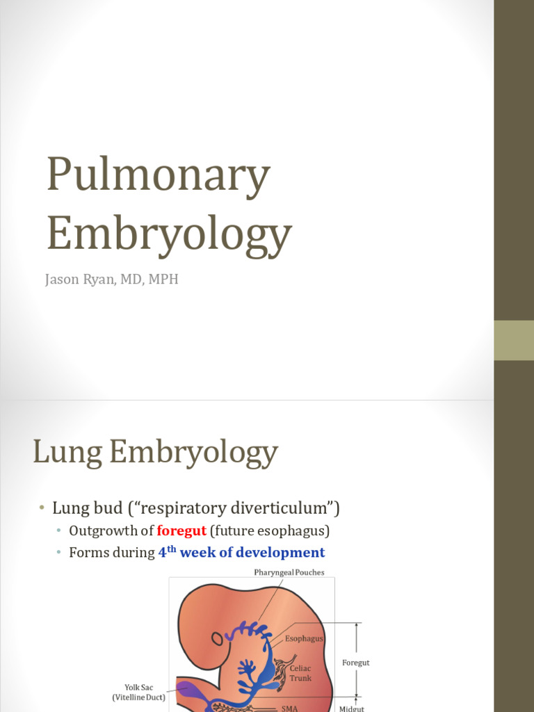 PulmonarySldes (MedicalBooksVN - Com) | PDF