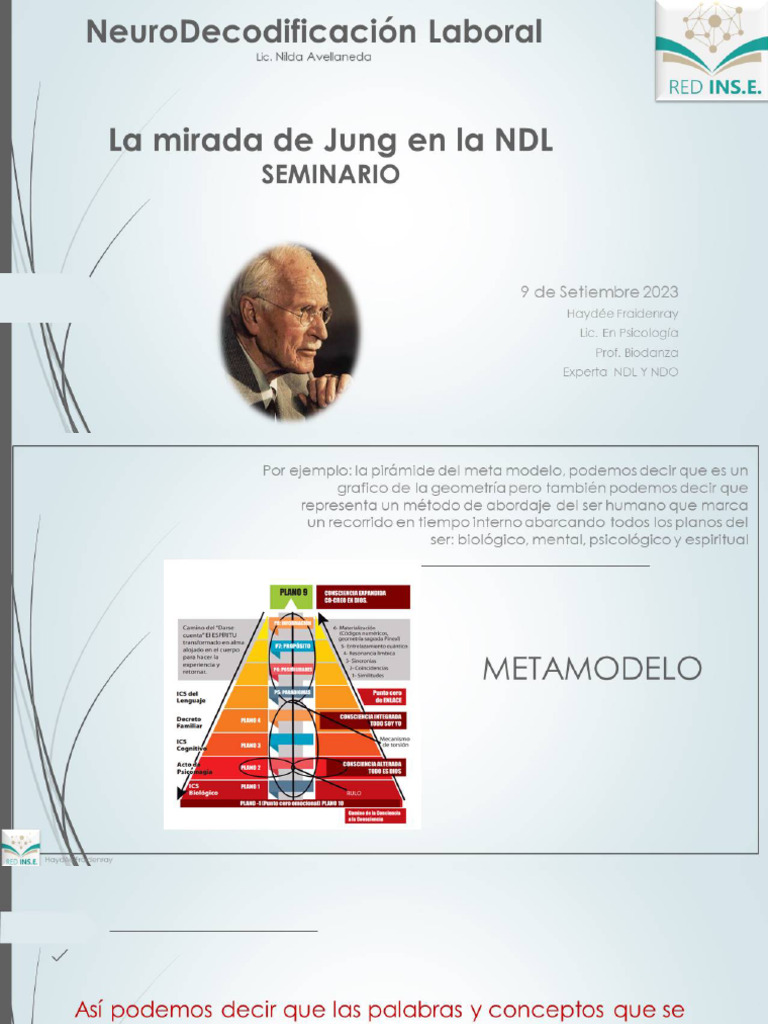 La Mirada de Jung en La NDL Largo | PDF