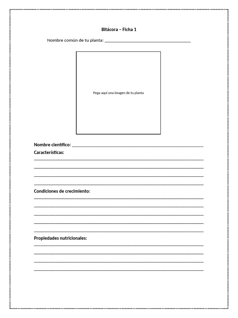 Etapas Proyecto Sã© Ptimo p1 | PDF