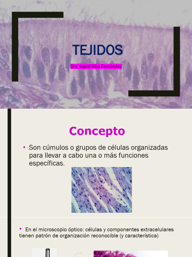 1 - Tejidos (Generalidades) - Histología I | PDF