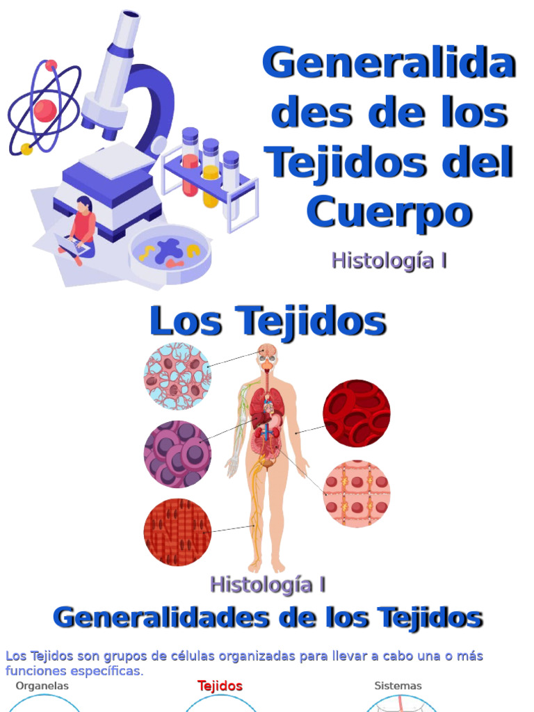 04 Histología - Generalidades de Los Tejidos | PDF