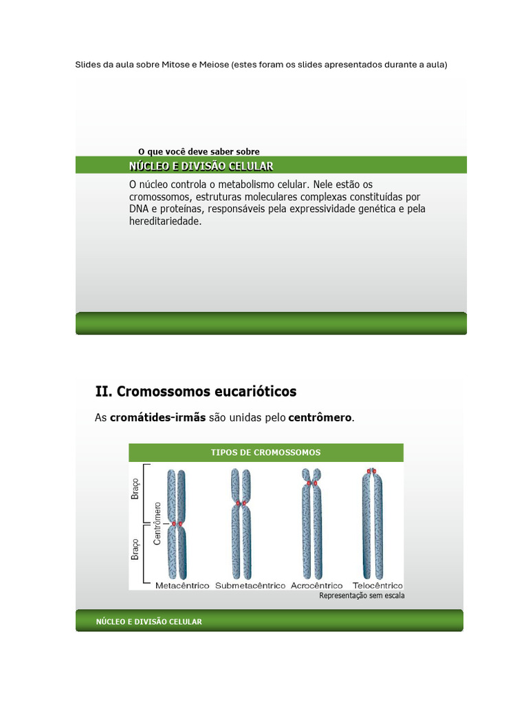 Slides Da Aula Sobre Mitose E Meiose Pdf