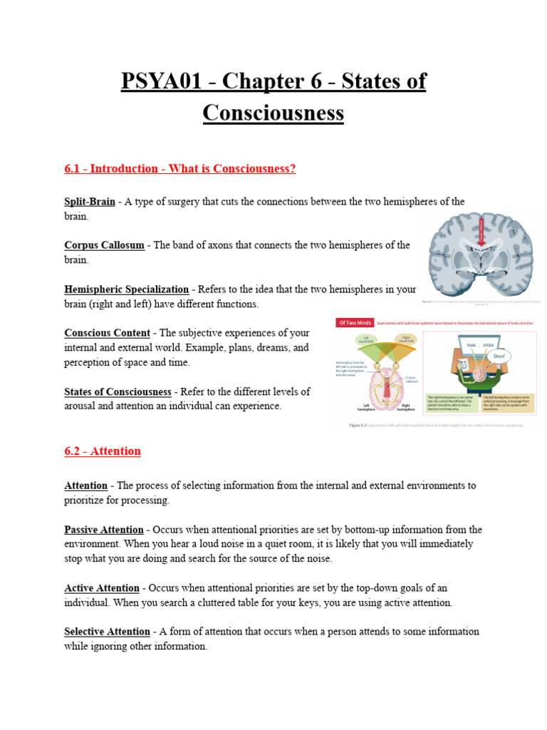 PSYA01 - Chapter 6 - States of Consciousness | PDF