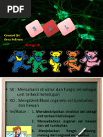 BioMan Biology | PDF | Mitosis | Cell (Biology)