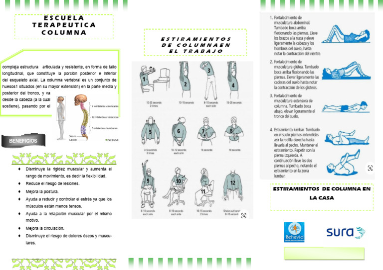 Escuela Columna | PDF