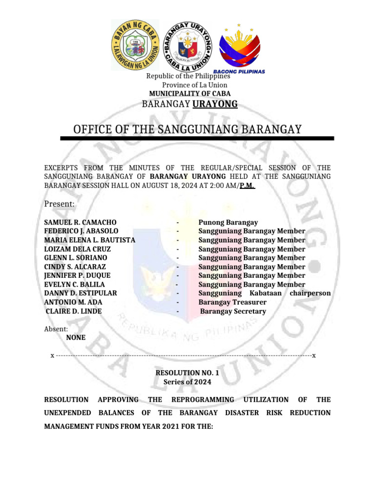 Realignment BDRRM | PDF