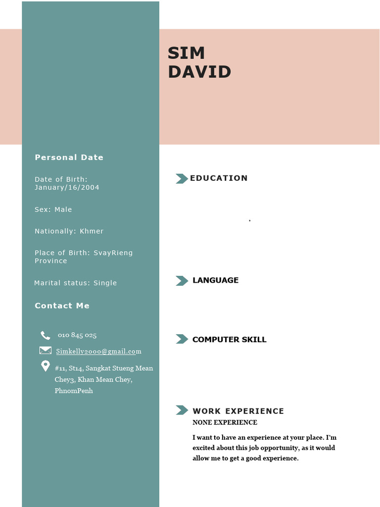 DAVID CV | PDF