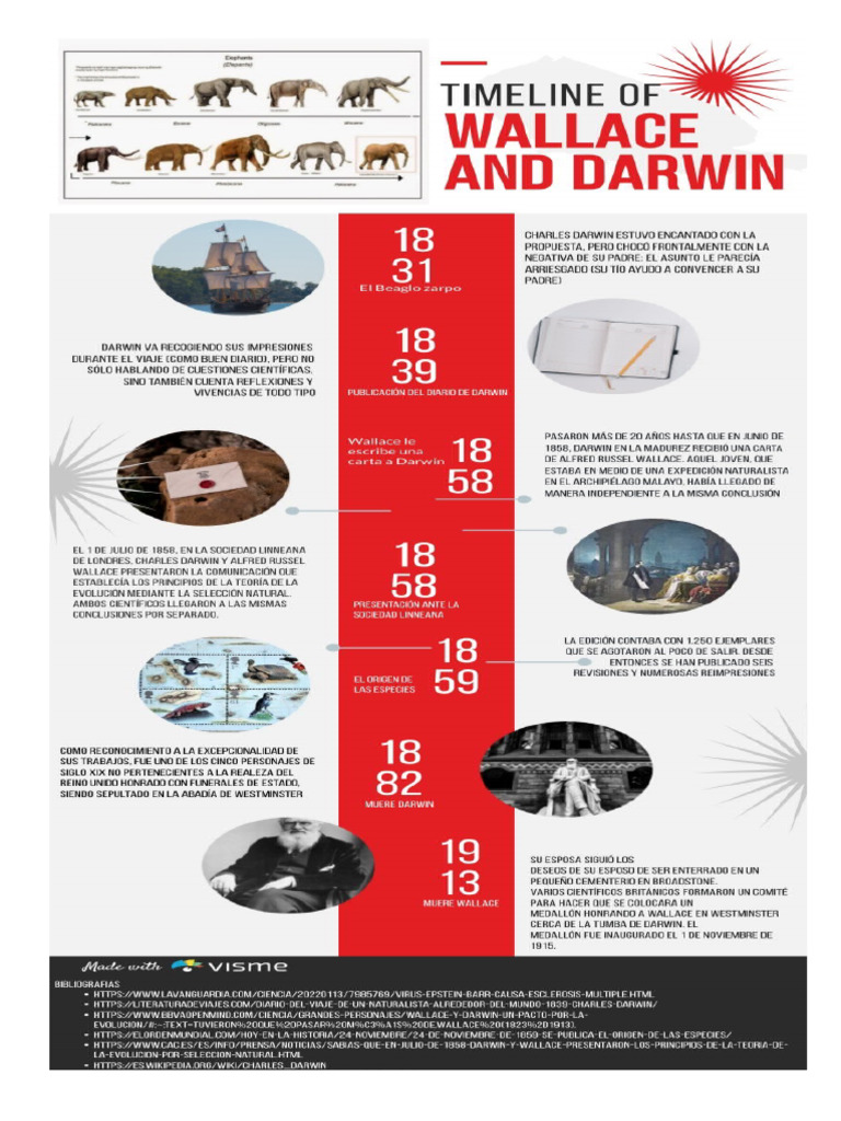 1ra Act. (Bio) | PDF