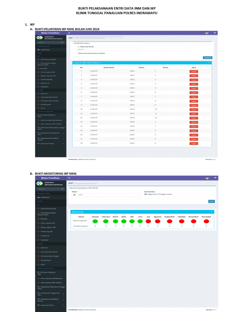 Bukti Pelaksanaan Entri Data Inm Dan Ikp Bulan Juni 2024 | PDF