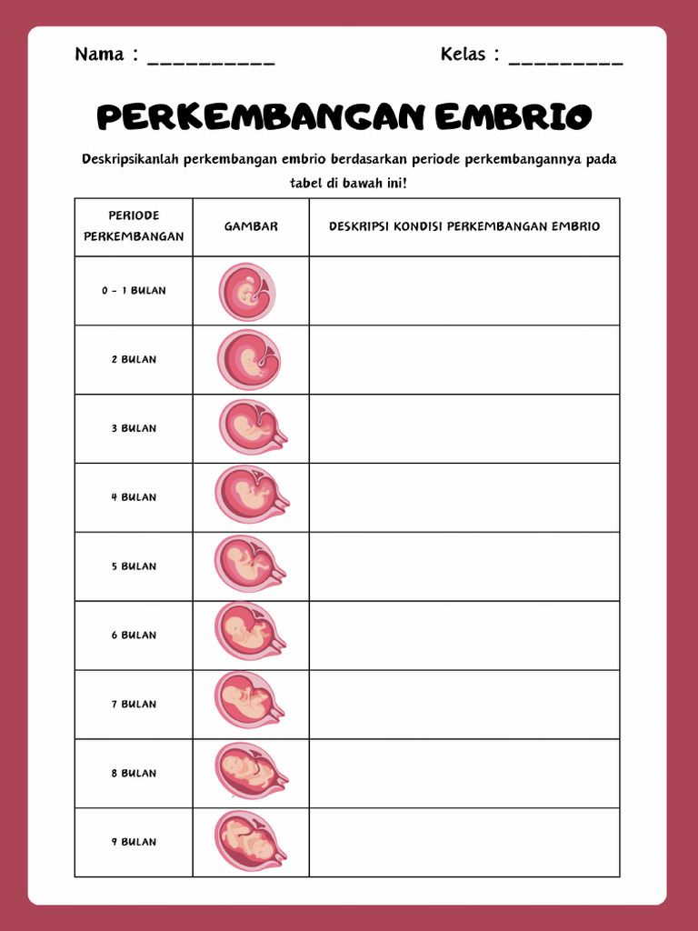 Lembar Kerja Perkembangan Embrio Ilustrasi Merah - 2 | PDF