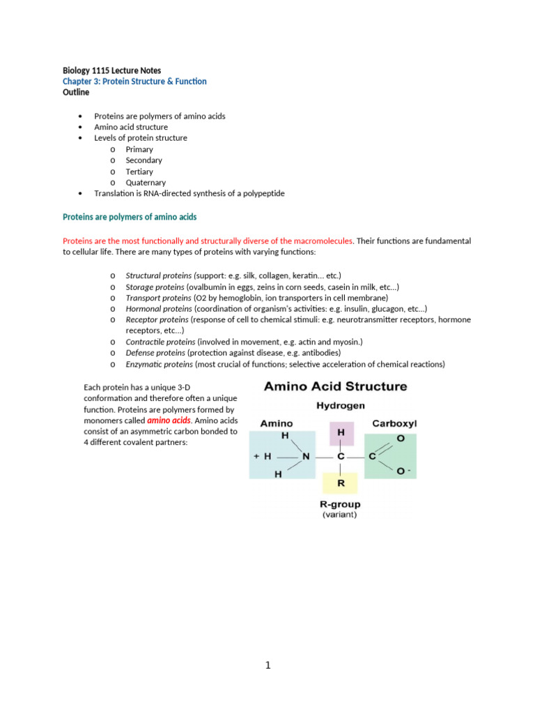 Chapter 3 Protein Structure | PDF