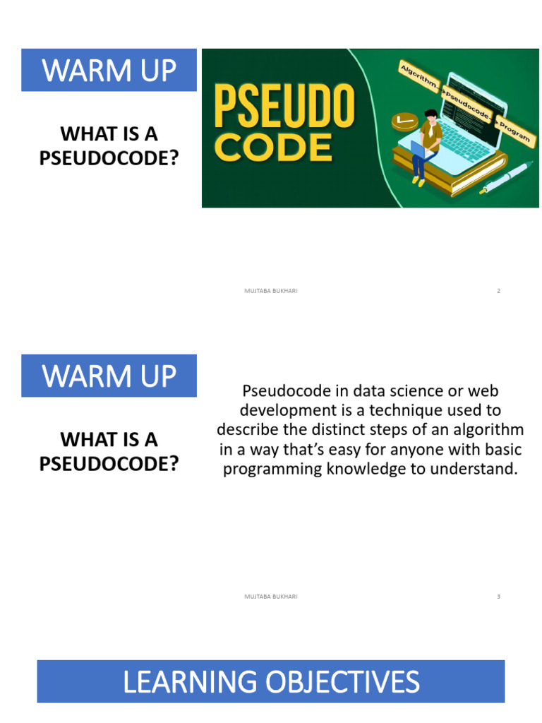 Presentation - Basic Programming Skills - Mujtaba Bukhari | PDF