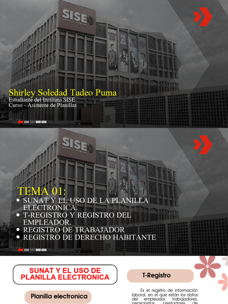 Resumen de Las Exposiciones-Shirley Tadeo Puma | PDF