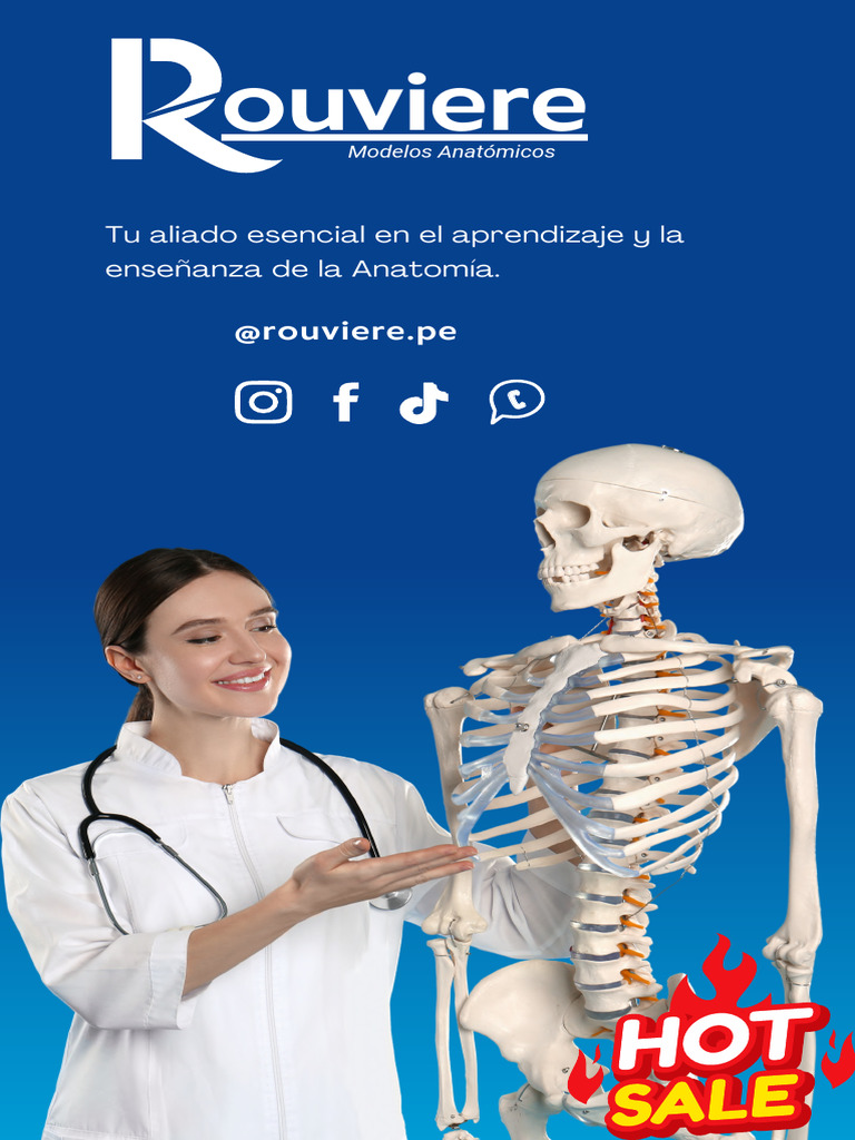 Catálogo Rouviere | PDF