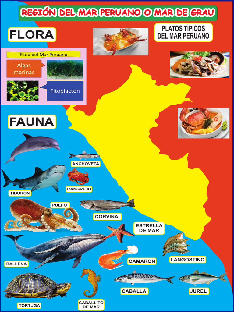 Mar Peruano 1X1.5 | PDF