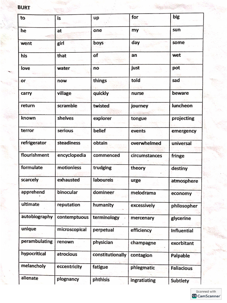 Burt Test Lectura Inglés | PDF