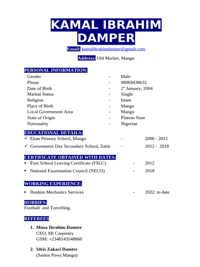 Kamal Ibrahim CV | PDF