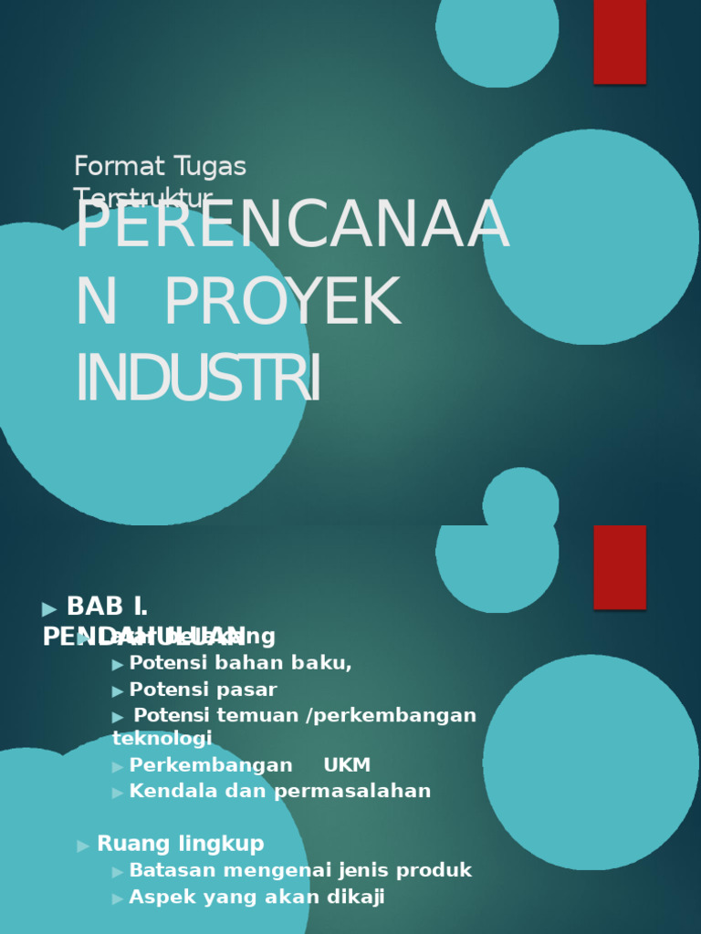 Format Tubes Ppi 2 | PDF