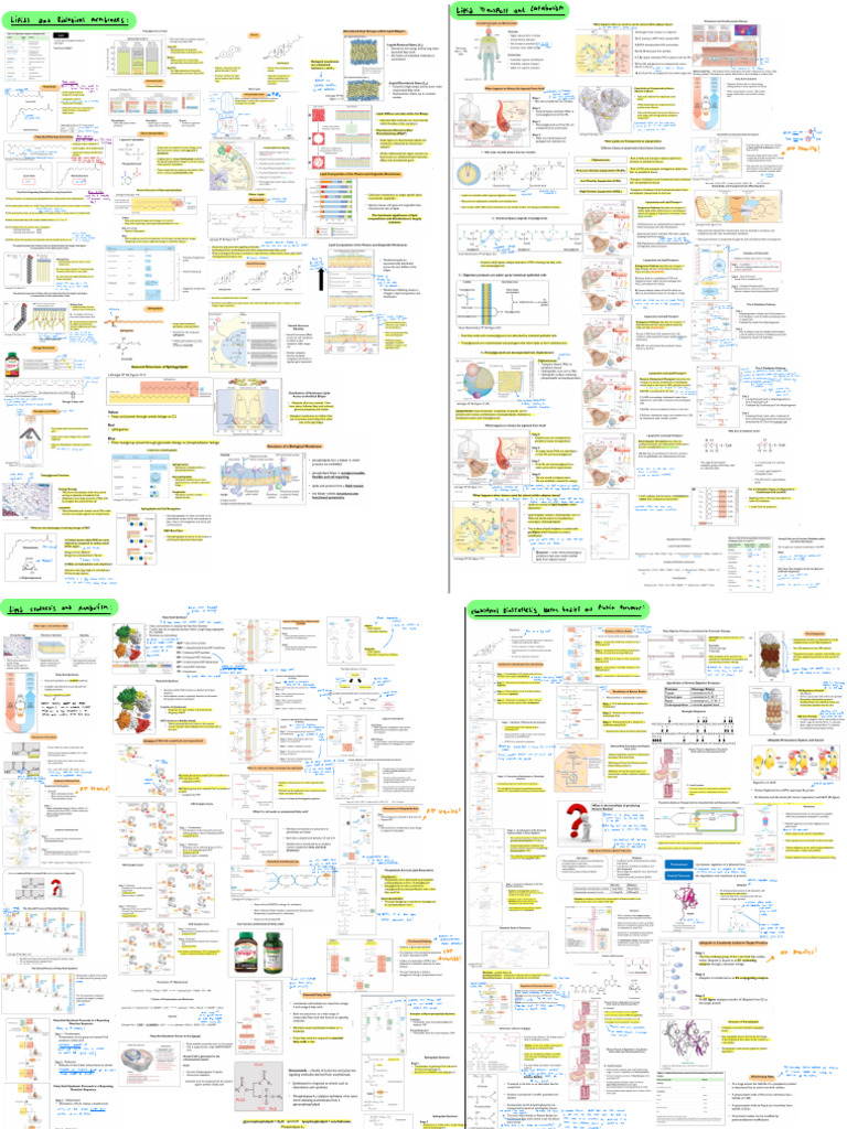 Bioc302 Final Cheat Sheet | PDF