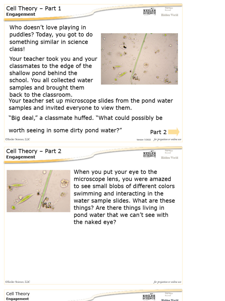 Cell Theory | PDF