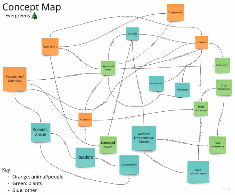 Concept Map-4 | PDF