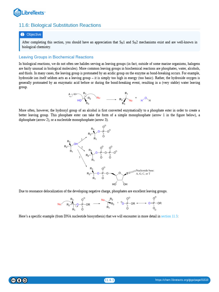 11.06 Biological Substitution Reactions | PDF