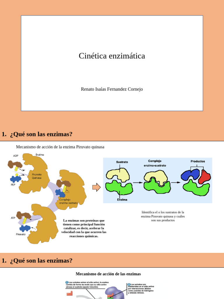 Clase Cinética Enzimática | PDF