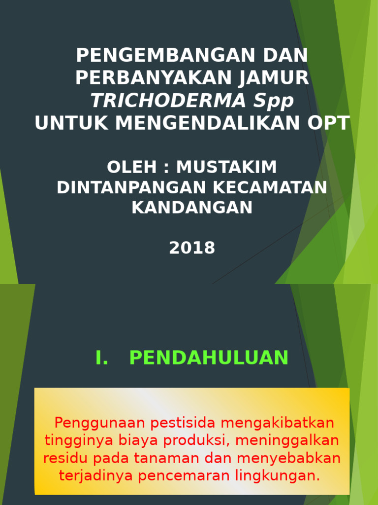 Trichoderma SP Perbanyakan | PDF