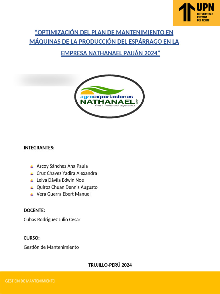 GRUPO 3_INFORME FINAL | PDF