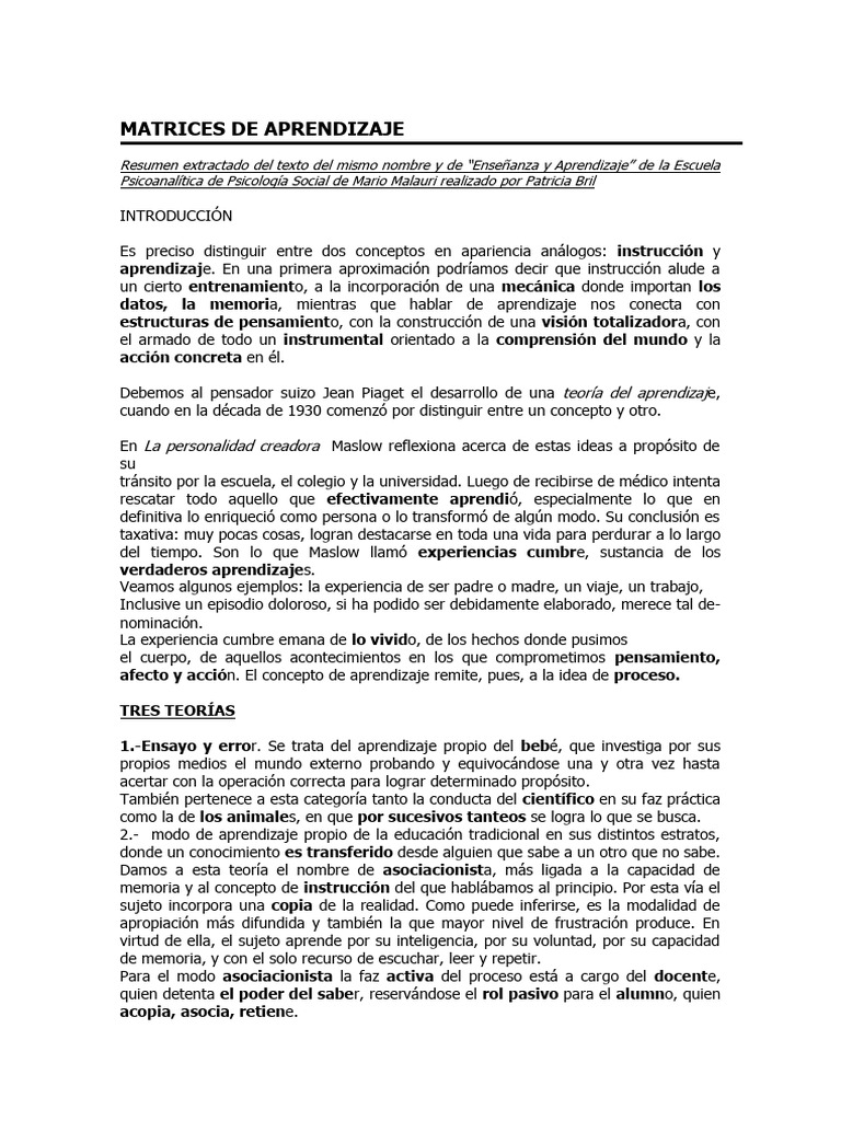 Matrices de Aprendizaje - MATERIAL TEORICO | PDF