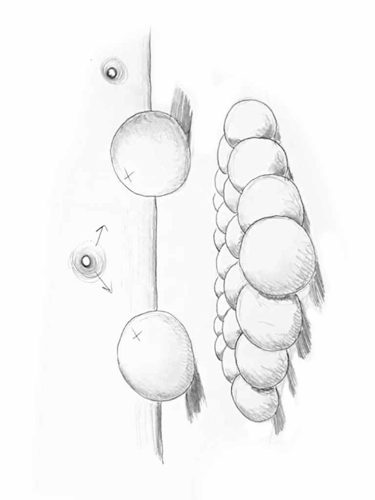 Lesson 2 The Sphere | PDF