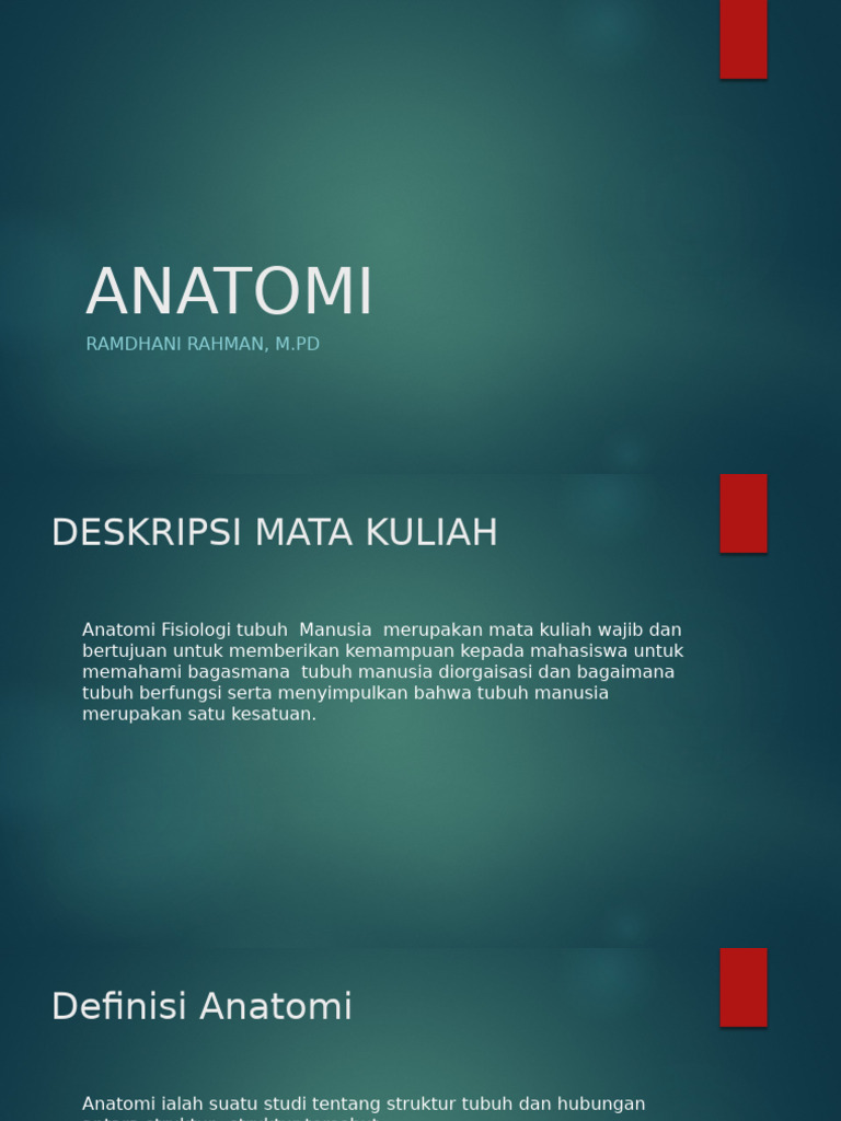 ANATOMI | PDF