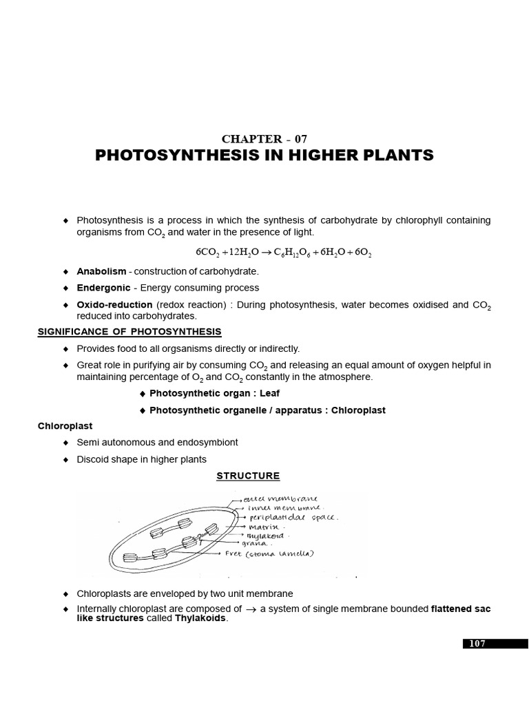 Photosynthesis in Higher Plants [Lecture Note] | PDF