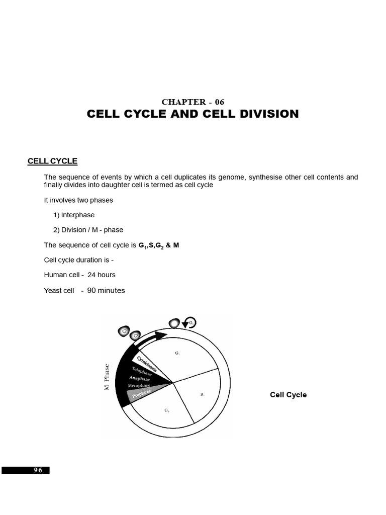 Cell Cycle & Cell Division (Lecture Note) | PDF