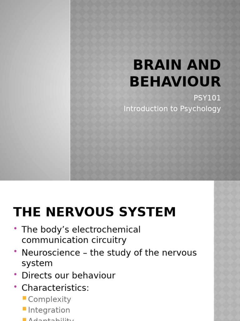 Brain and Behaviour | PDF