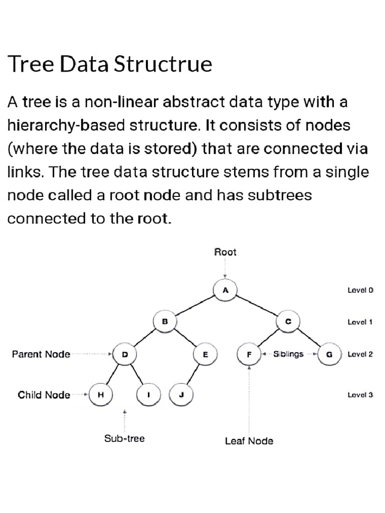 Tree Data Structure Pdf