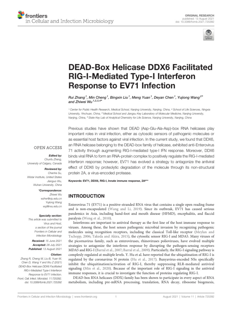 DEAD-Box Helicase DDX6 Facilitated RIG-I-Mediated Type-I Interferon ...