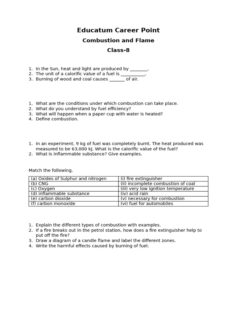 Class 8 Combustion & Flame Guide | PDF